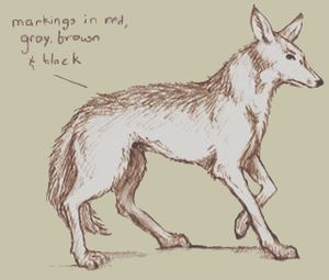 Jackal (creature) - Elanthipedia